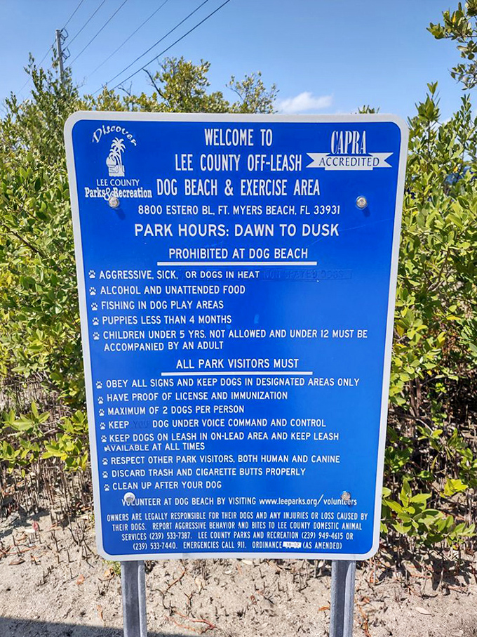 The rulebook for canine paradise &ndash; this sign outlines how humans can ensure everyone has a pawsitively wonderful time.