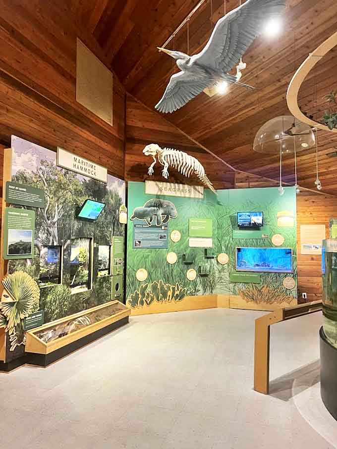 Educational exhibits bring the outside world indoors, where suspended sea creatures seem frozen mid-swim beneath wooden rafters.