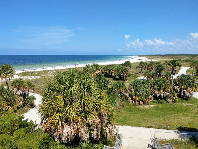 A panoramic view that makes you understand why dogs stick their heads out of car windows &ndash; some views deserve the full sensory experience.