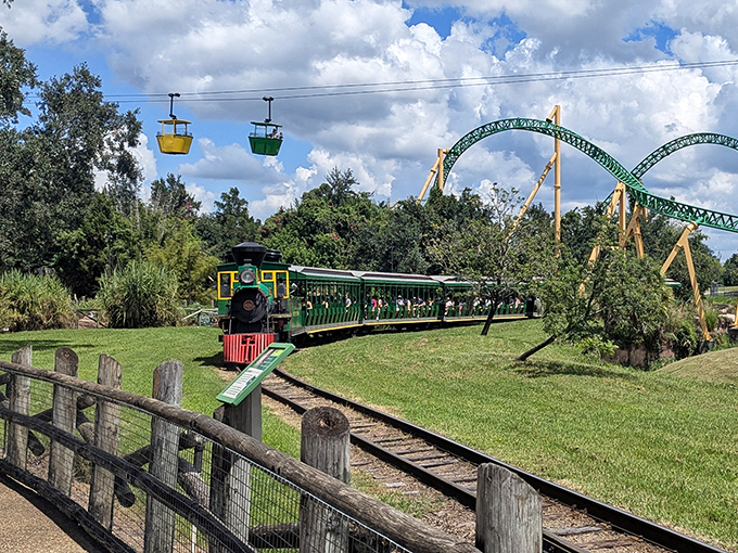 The Express Train offers scenic views and blessed sitting time, cleverly disguised as transportation rather than the recovery period it truly is.