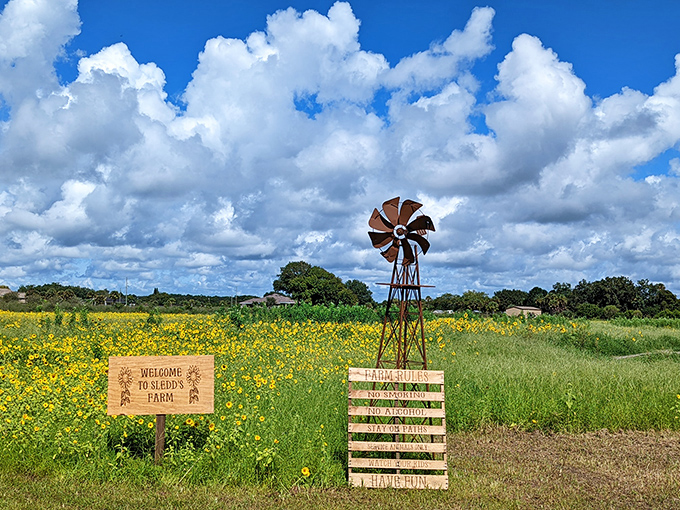 An antique windmill stands watch over Sledd's welcoming entrance, where rustic signage outlines the farm's attractions with homespun charm.