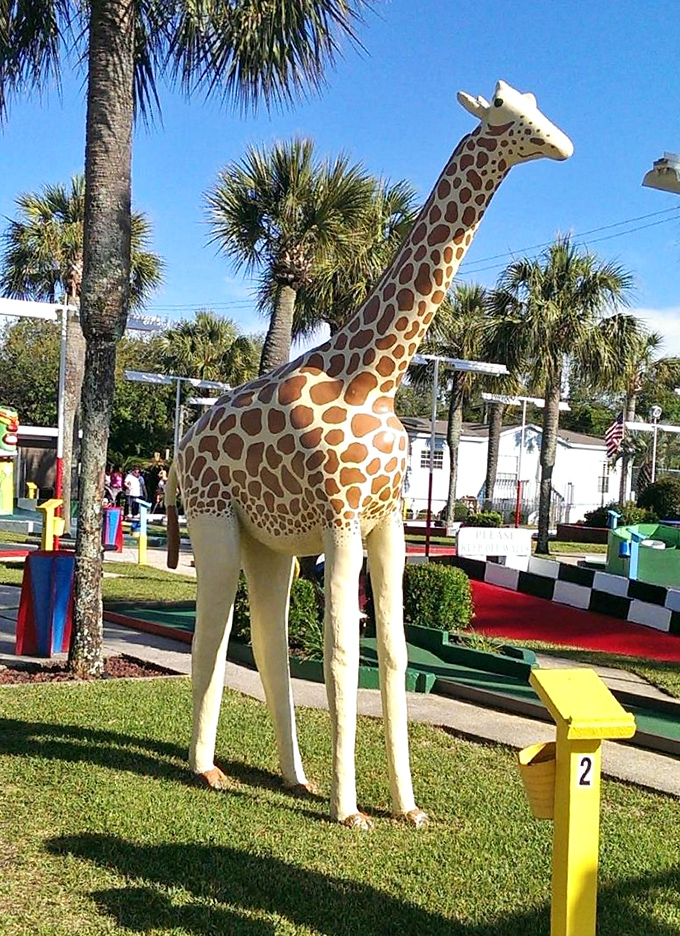 The stately giraffe stands tall among the palm trees, a spotted sentinel overseeing putting adventures with quiet dignity.