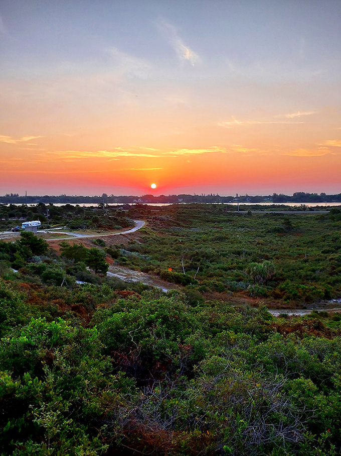 Sunset transforms the scrubland into a painter's palette. Even the most dedicated screen-scrollers pause when this show begins.