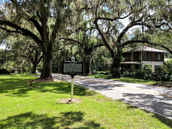 History stands marked but hardly needs explanation&mdash;these trees themselves are living monuments to centuries gone by.