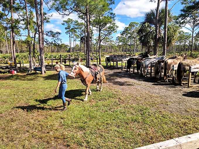 The equestrian area offers four-legged transportation through the park – because sometimes the journey is better when someone else does the walking.