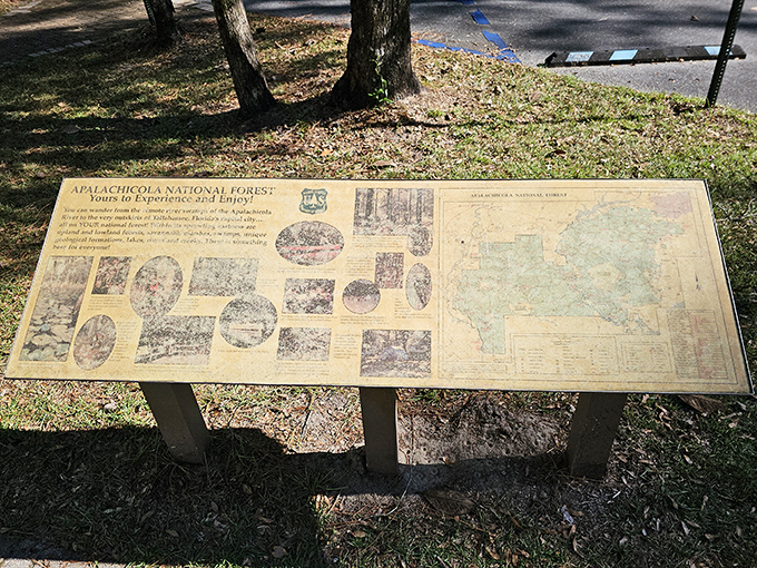 This weathered information board about Apalachicola National Forest tells the story of Florida's largest forest, though time has faded some of its secrets.