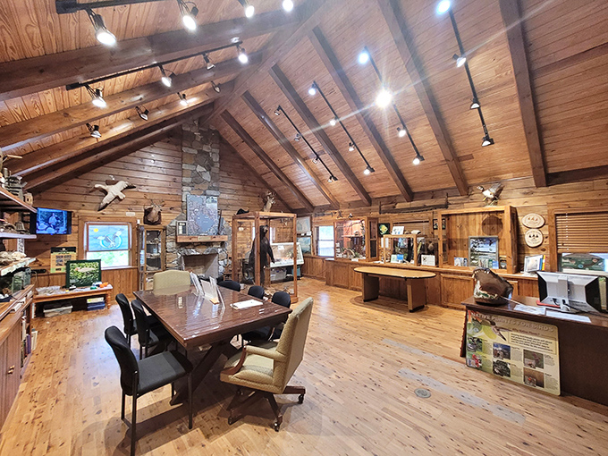 The Environmental Education Center welcomes curious minds with warm wood tones and actual facts, not corporate-approved storylines or merchandise opportunities.