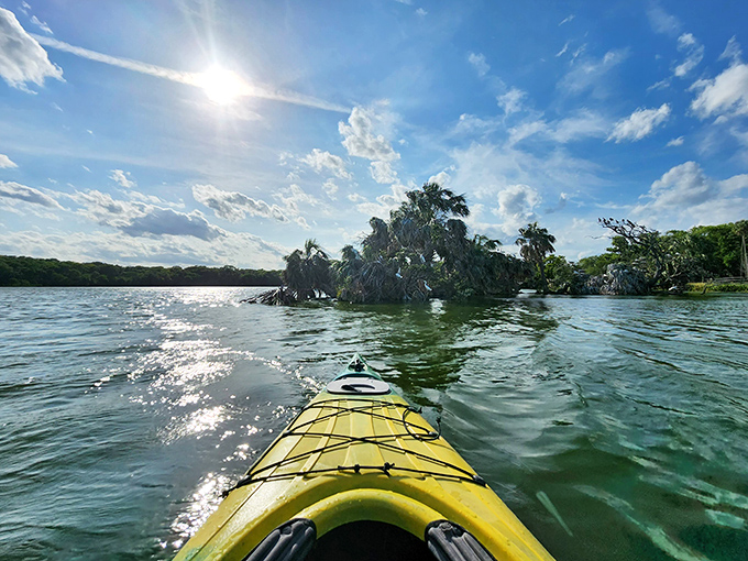 Front-row seats to Florida's wild side from a kayak's-eye view &ndash; no zoom lens required for these intimate nature encounters.