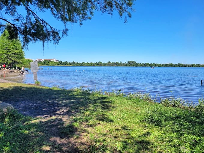 Lake Baldwin's pristine waters and grassy shores create a postcard-perfect setting for both human relaxation and canine exploration.