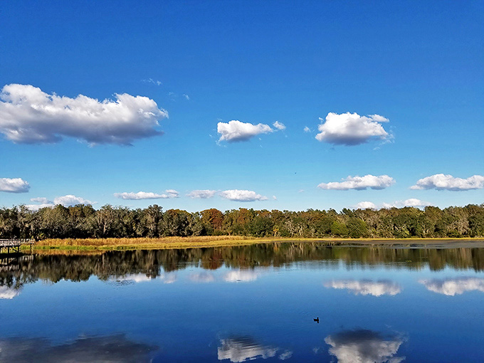 The lake serves as nature's mirror, reflecting sky and clouds in a display that puts most art galleries to shame.