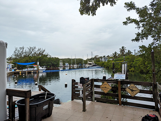 Protected lagoon waters house the underwater habitat &ndash; where boats and bubbles mark the intersection between two worlds.