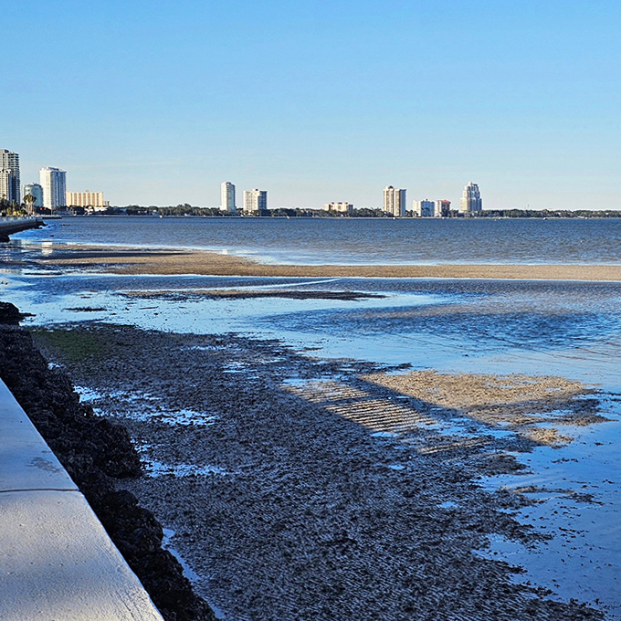 Low tide reveals the bay's secrets, where texture and reflection create a natural canvas that changes with each passing hour.