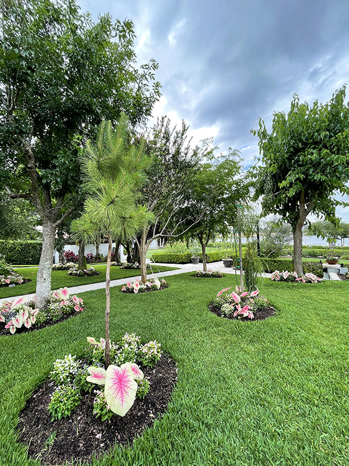 Pink caladiums and tropical plantings create living color blocks around young trees, demonstrating how Florida's climate allows for botanical creativity year-round.