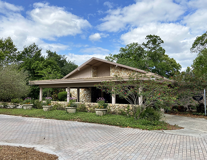 Mead Botanical Garden provides a lush sanctuary where native Florida plants thrive &ndash; proving paradise doesn't require admission tickets or character meet-and-greets.