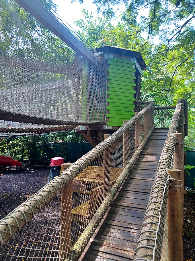Not your average hallway! This mesh tunnel connects adventure zones while giving you a moment to catch your breath&mdash;and your courage.