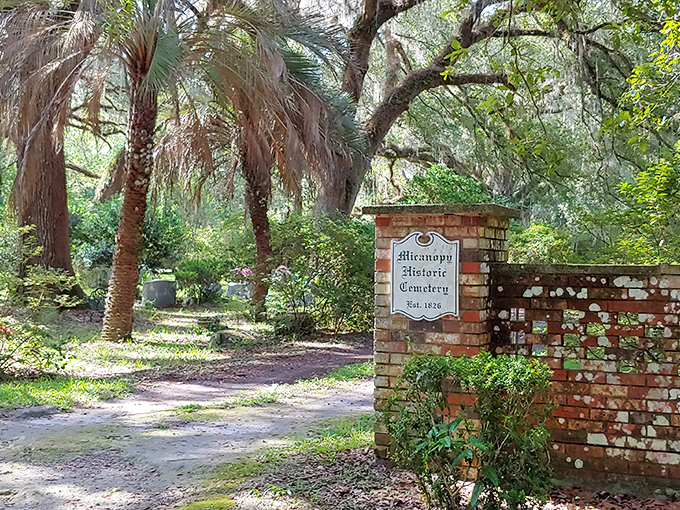 Micanopy's historic cemetery, established in 1826, offers a hauntingly beautiful glimpse into the lives of the town's earliest residents.