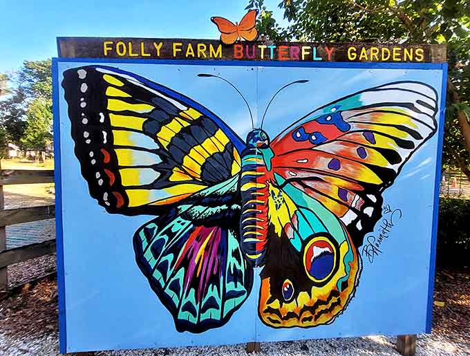 Vibrant butterfly artwork captures the preserve's spirit, a kaleidoscope of colors that mirrors the real winged residents fluttering nearby.