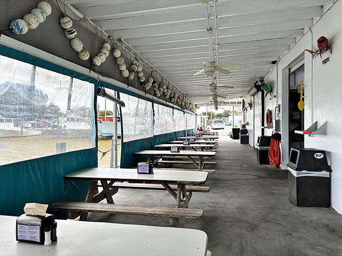 Picnic tables with million-dollar views &ndash; dine with the gentle lapping of waves as your soundtrack and sea breeze as your air conditioning.