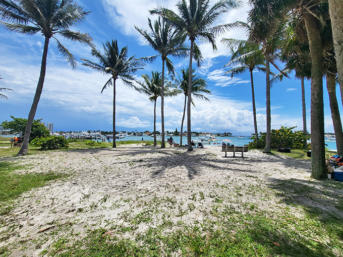 Palm grove perfection creates natural shade rooms on the beach, nature's umbrellas protecting visitors from Florida's enthusiastic sunshine.