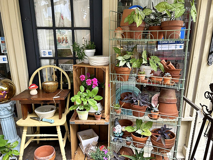 The plant section offers vintage pots and garden accessories, where terra cotta containers and weathered tools await green-thumbed shoppers.