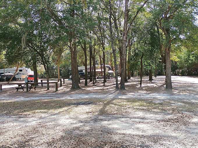 RV Camping Area: Shaded campsites offer a perfect home base for underwater explorers, where adventure awaits just beyond your morning coffee.