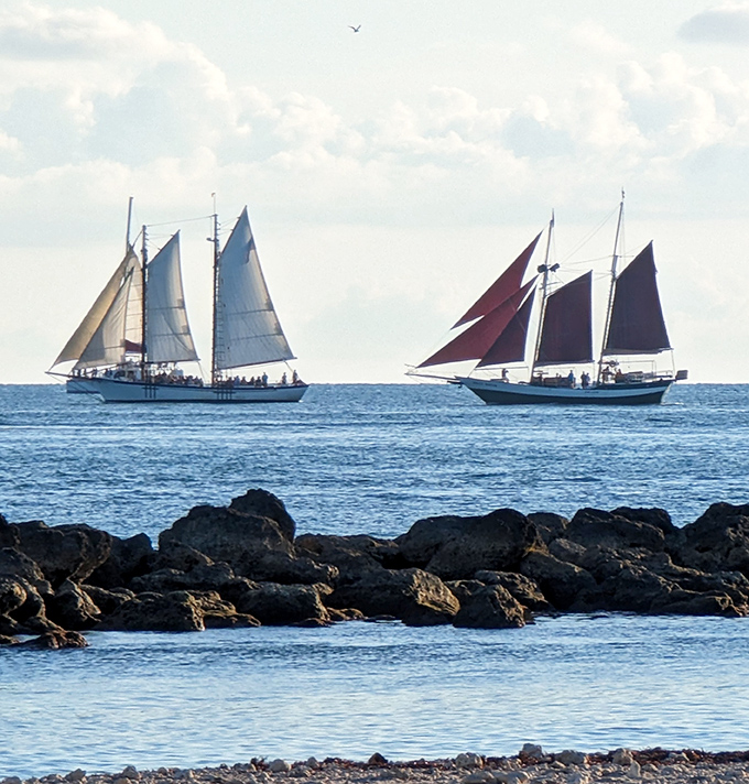 Sailing: Twin schooners race across the horizon like elegant time travelers from an era when wind power ruled the seas.