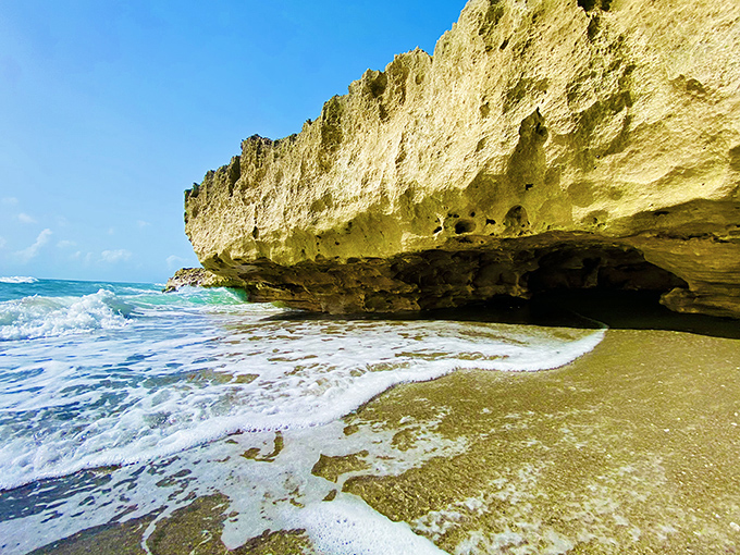 Sunlight filters through a natural rock canopy, creating a cool sanctuary from the Florida heat.