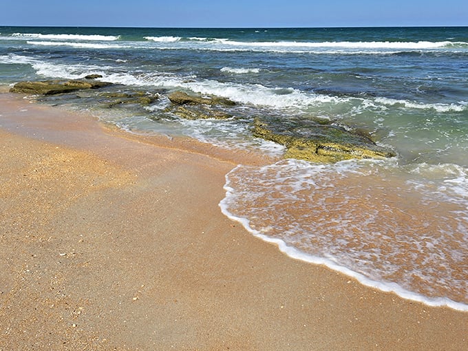 Atlantic waves caress the unique coquina shoreline, where geology and oceanography create a beach unlike any other in Florida.