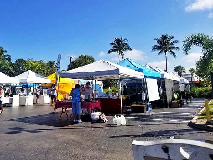 Market morning: The Siesta Key Farmers Market transforms parking lots into vibrant community gatherings filled with local treasures.