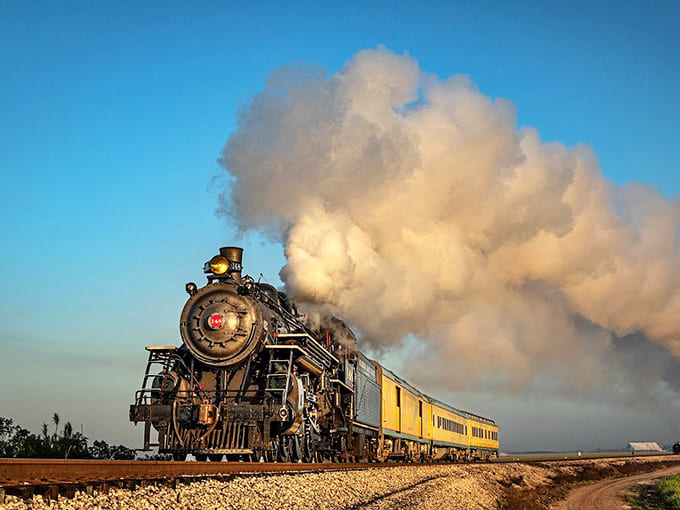 Full steam ahead takes on literal meaning as the locomotive powers through the countryside, trailing clouds that would make any photographer's heart race.