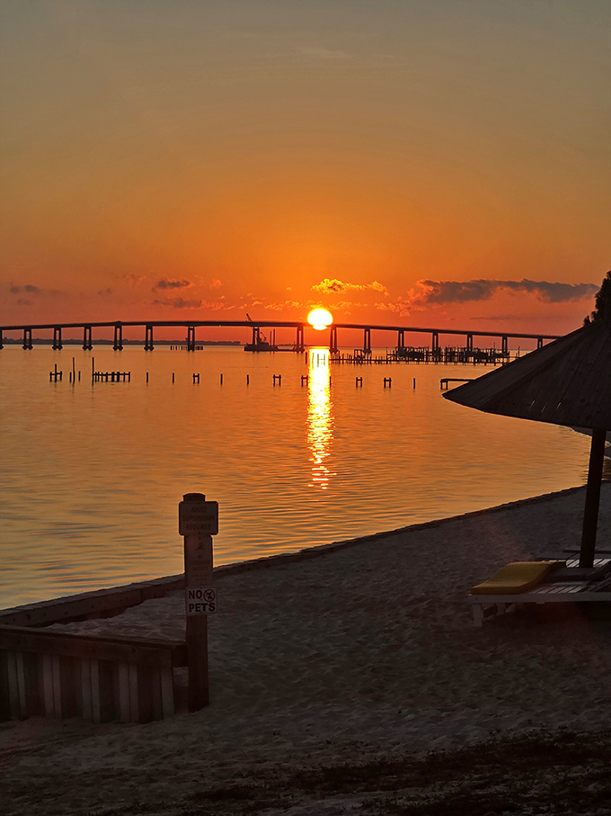 Nature's farewell performance as the sun dips below the horizon &ndash; the kind of sunset that makes you forget to check your phone.