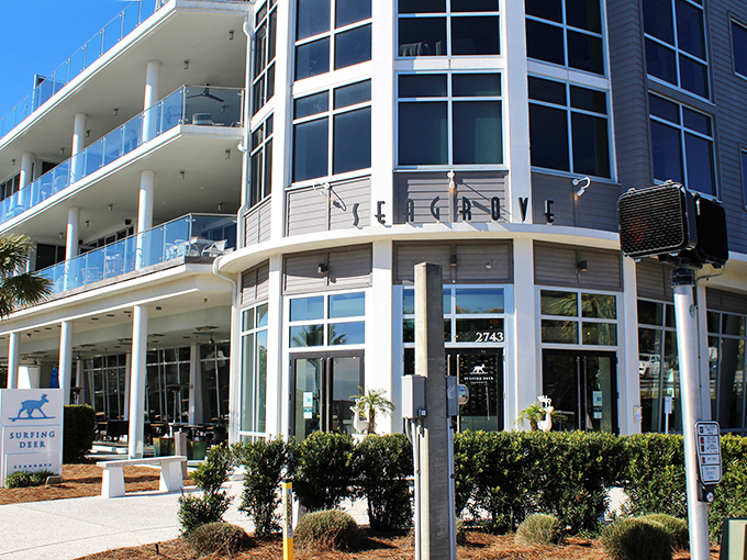 Culinary cornerstone: The Surfing Deer restaurant stands as a modern architectural gem, promising meals as memorable as the views that surround it.