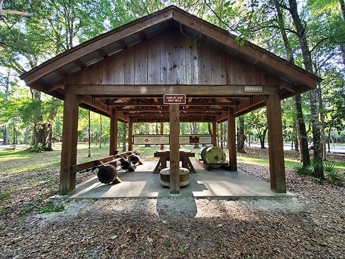 Hikers and four-legged friends explore pine-scented trails &ndash; where every bend might reveal deer, turkeys, or just more spectacular scenery.