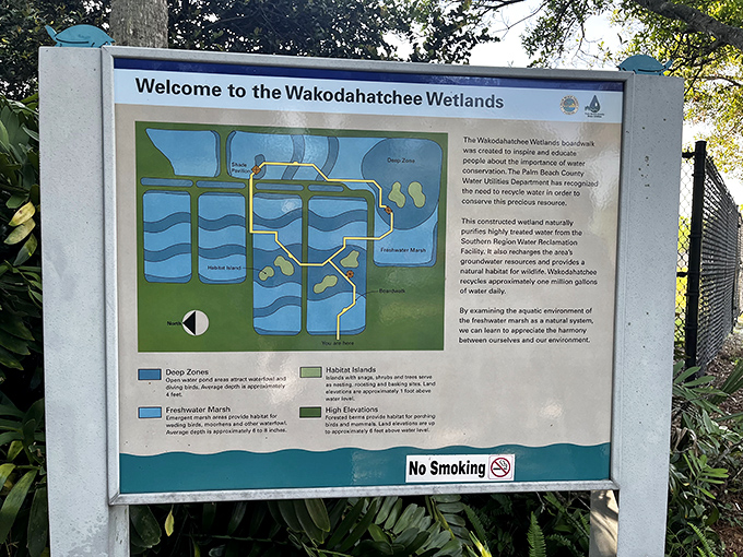 The trail map reveals Wakodahatchee's ingenious design&mdash;a water treatment facility cleverly disguised as Florida's most accessible wildlife sanctuary.