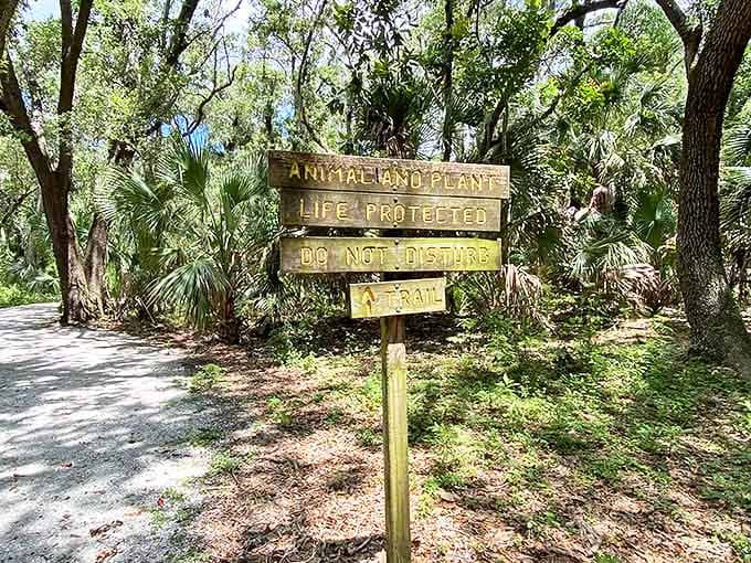 Trail markers guiding your journey through protected habitats where wildlife thrives and visitors learn to tread lightly.