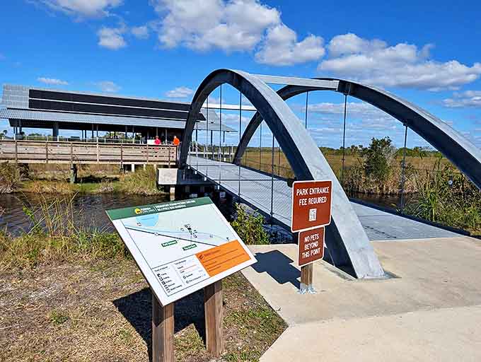 This modern bridge arches gracefully into wilderness, a gateway between the world we've built and the one that built itself.