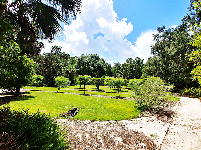 Open spaces invite contemplation under Florida's big sky, where carefully placed trees frame views of distant horizons.