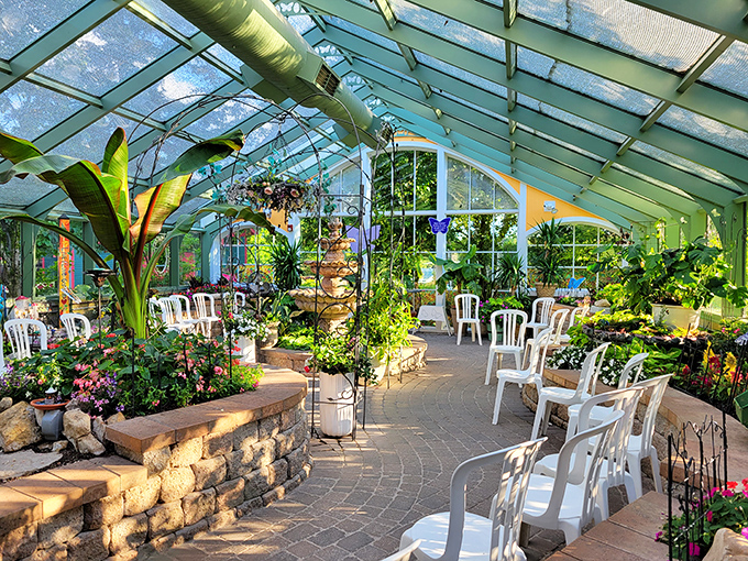 Wings of Mackinac's greenhouse creates a tropical oasis where butterflies dance among exotic plants, a delightful contrast to the island's Victorian aesthetic.