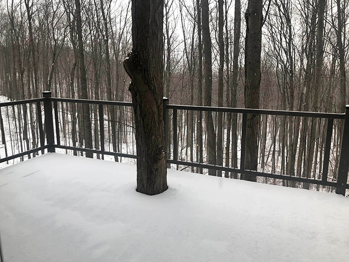 Winter transforms Tree House Ridge into a snow globe come to life, with heated decks ensuring you can enjoy the pristine views.