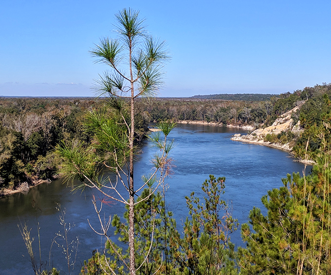 From this vantage point, the river's serpentine path reveals itself, carving through the landscape like nature's own signature.
