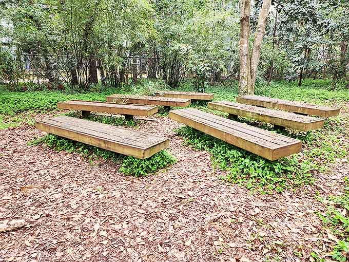 Contemplation corner: These simple wooden benches invite visitors to sit, breathe, and absorb the tranquility that permeates Lichgate.