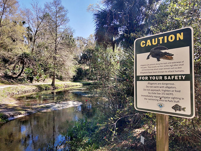 The "alligator crossing" sign&mdash;Florida's charming way of reminding you who the original residents really are!