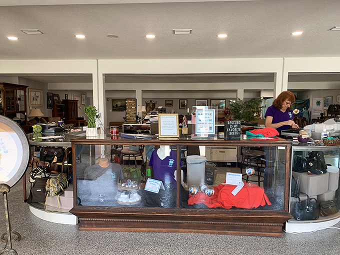 The checkout area reveals the care that goes into this operation, with volunteers ready to wrap your treasures and share animal rescue stories.