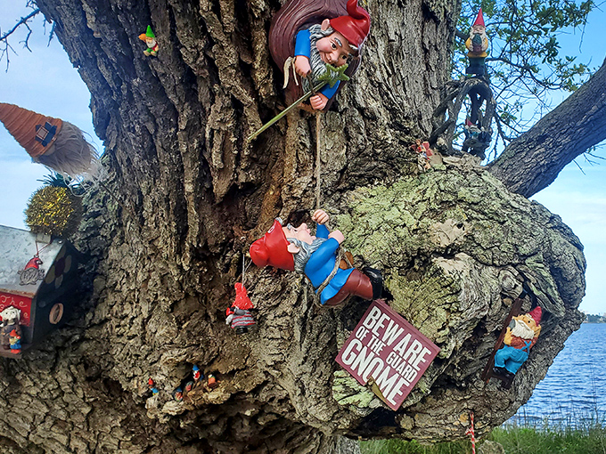 Adventurous gnomes scale the oak's massive trunk, demonstrating that even ceramic creatures appreciate the satisfaction of a good climb with a view.