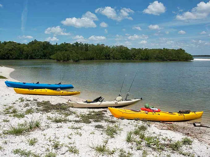 Colorful kayaks rest on pristine shores, awaiting adventurers ready to paddle through nature's maze of hidden channels and secret coves.
