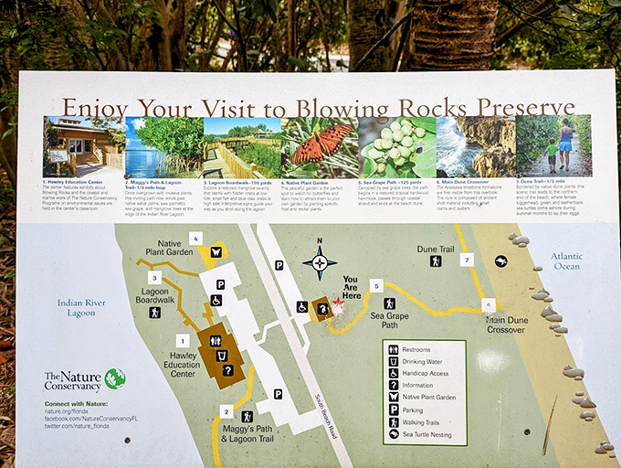 This directory helps visitors navigate the preserve's diverse ecosystems, from beach to mangrove to maritime forest.