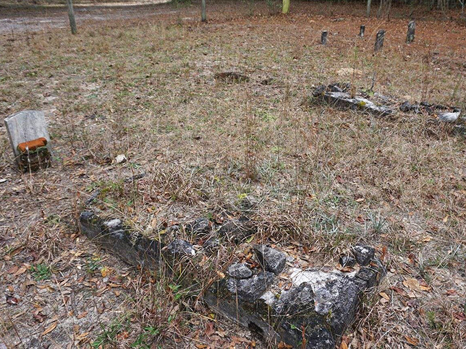 Fallen leaves carpet the cemetery floor in nature's own memorial quilt, changing colors with the seasons of remembrance.