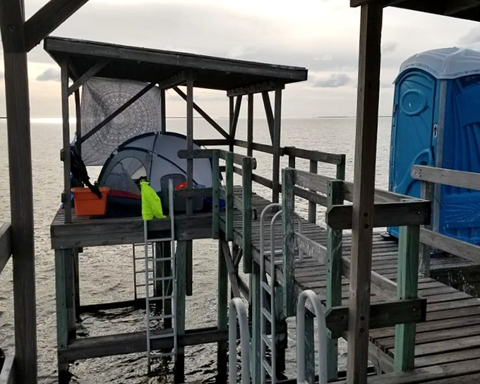 Your elevated platform awaits, promising nights under stars so bright they'll make city lights seem like a poor imitation.