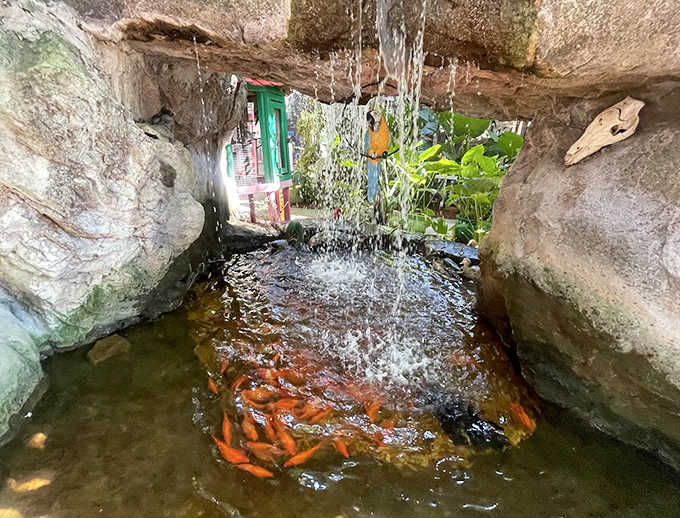 Colorful koi fish dart beneath a sparkling waterfall, creating a peaceful oasis where visitors can pause and appreciate these living jewels of the pond.