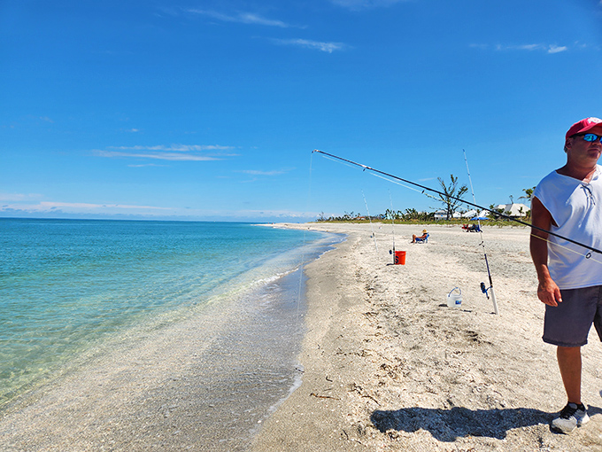 Fishing enthusiasts find paradise alongside shell collectors, with the Gulf offering abundant catches just steps from shore.